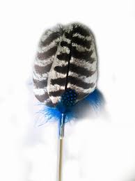 Blue Wild Turkey Wing Feather Toy – Cat Tamboo Pet Toys