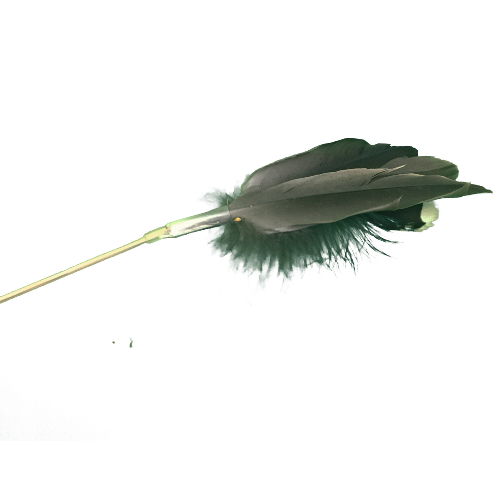 Natural Goose Feather Toy – Cat Tamboo Pet Toys